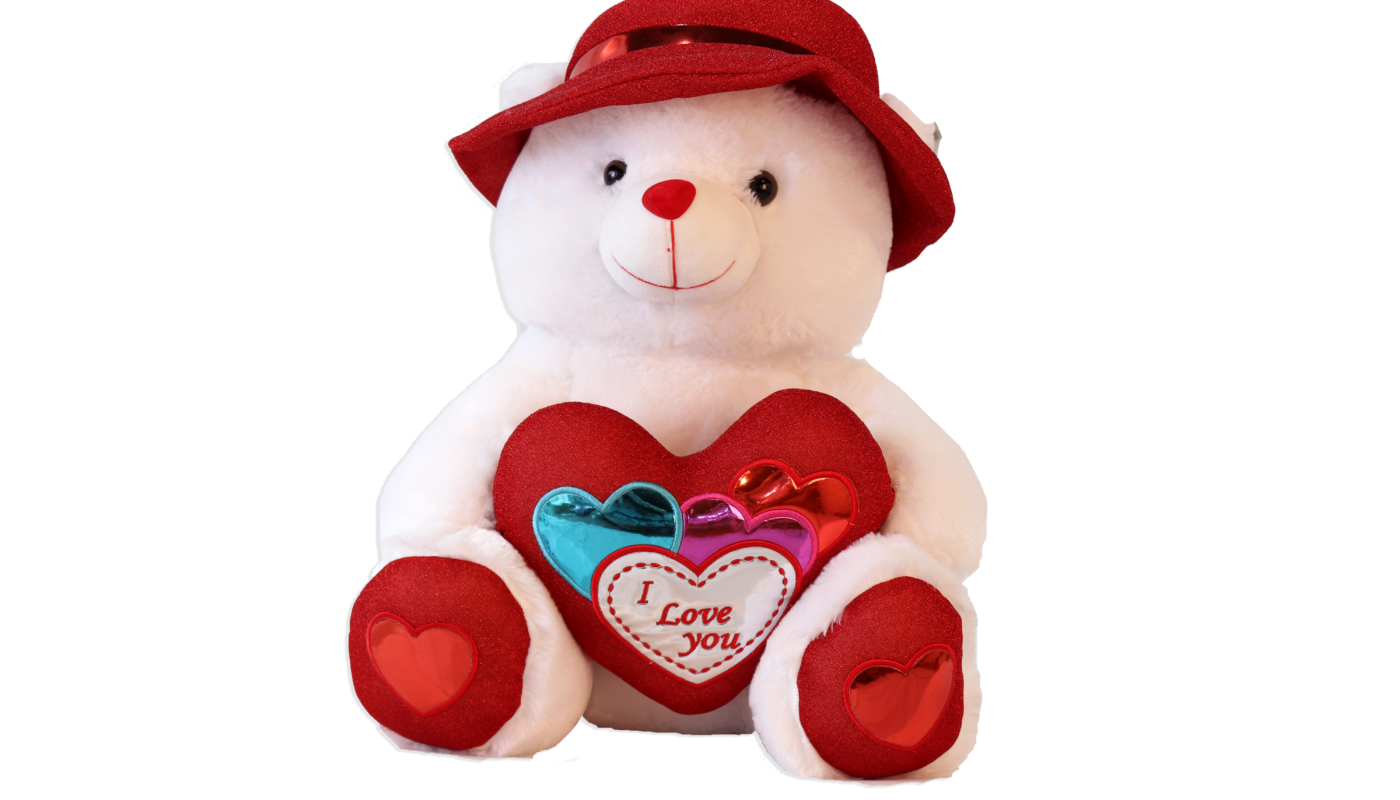Big Teddy Bear Multicolour - Toys 4You Store