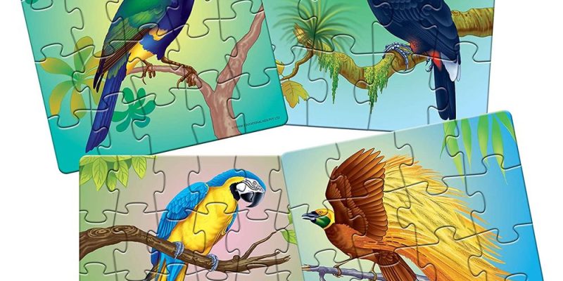Frank - Exotic Birds Pack of 4 Puzzles - 72pcs - Toys 4 You